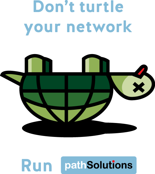 About Our Turtle | PathSolutions